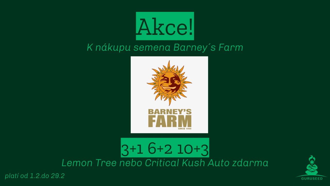 Akce Barneys Farm - Guruseed.cz